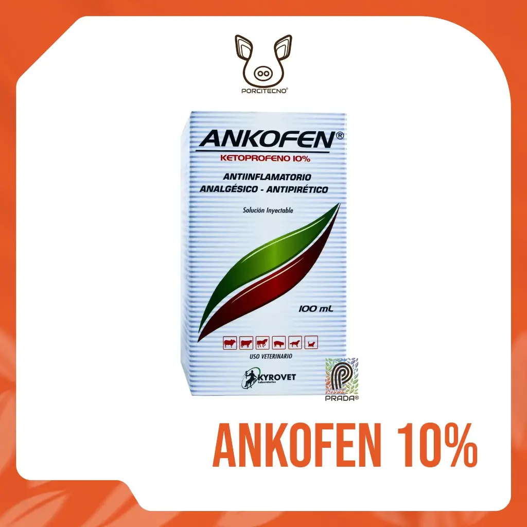 ANKOFEN 10% INY X 100 ML | PORCITECNO